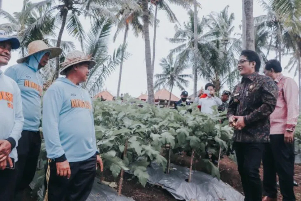 Pemkab Badung tingkatkan ketahanan pangan dengan kebun kota ... Pemkab Badung tingkatkan ketahanan pangan dengan kebun kota ...